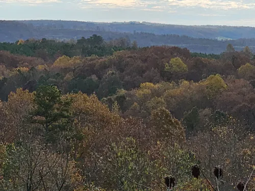 Best Forest Trails in Cherokee | AllTrails