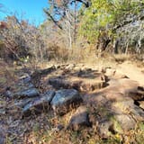 Parallel Forest Trail, Oklahoma - 408 Reviews, Map | AllTrails