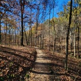 Paw Paw and Chinkapin Trail Loop, Kentucky - 484 Reviews, Map | AllTrails