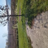 Deep Quarry Lake Loop, Illinois - 95 Reviews, Map | AllTrails