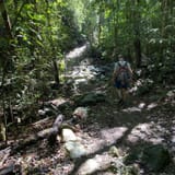 Reef Bay Trail, Saint John, US Virgin Islands - 902 Reviews, Map ...
