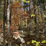 See Spring Trail, Arizona - 641 Reviews, Map | AllTrails