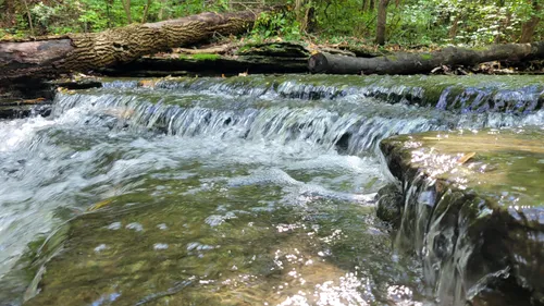 Best Hikes and Trails in Landen Deerfield Park | AllTrails