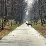 Big 4 Rail Trail, Indiana - 266 Reviews, Map | AllTrails