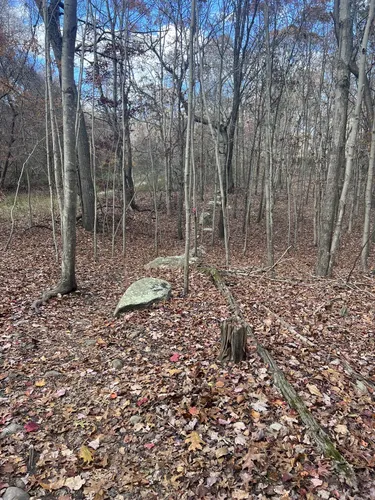 Best Hikes and Trails in David Overton Trail | AllTrails