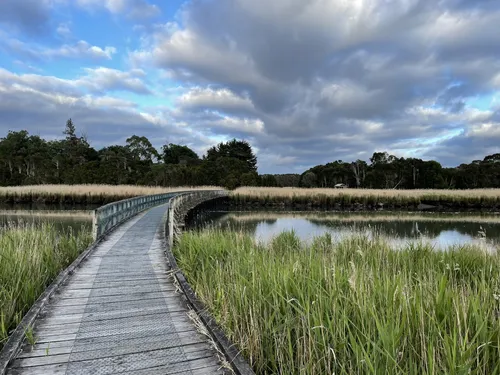 10 Best Walking Trails in Launceston | AllTrails