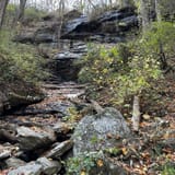 Hidden Falls Trail, South Carolina - 690 Reviews, Map | AllTrails