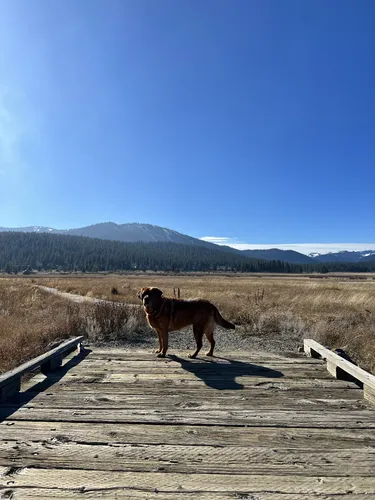 Best Hikes and Trails in Martis Creek Lake National Recreation Area ...