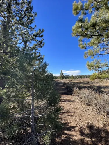 Best Hikes and Trails in Martis Creek Lake National Recreation Area ...