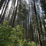 Judd Trail, Oahu, Hawaii - 2,393 Reviews, Map | AllTrails