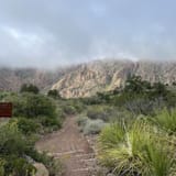 Basin Loop Trail, Texas - 931 Reviews, Map | AllTrails