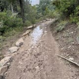 Basin Loop Trail, Texas - 931 Reviews, Map | AllTrails