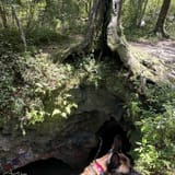 Dames Cave, Florida - 530 Reviews, Map | AllTrails