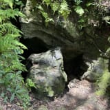 Dames Cave, Florida - 530 Reviews, Map | AllTrails