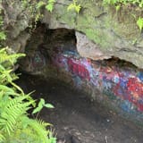 Dames Cave, Florida - 530 Reviews, Map | AllTrails