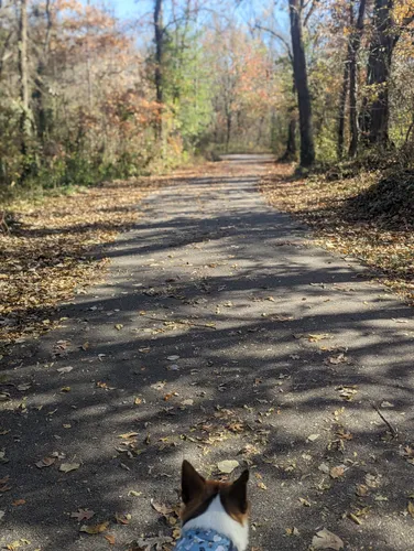 Best Hikes and Trails in Kelly Lane Park | AllTrails