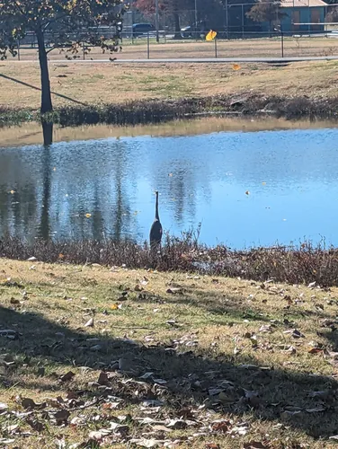 Best Hikes and Trails in Kelly Lane Park | AllTrails