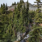 Skyline Loop, Washington - 14,768 Reviews, Map | AllTrails