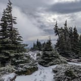 Skyline Loop, Washington - 14,768 Reviews, Map | AllTrails