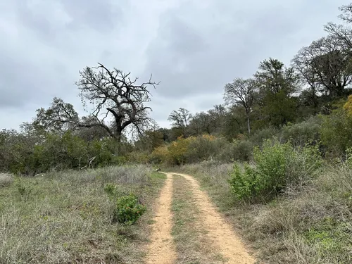2023 Best Views Trails in Milton Reimers Ranch Park | AllTrails