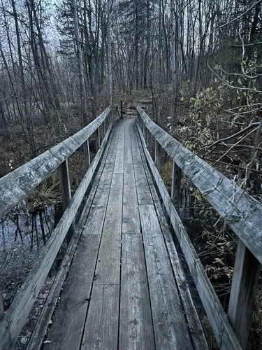 Best Hikes and Trails in Ridge Run County Park | AllTrails