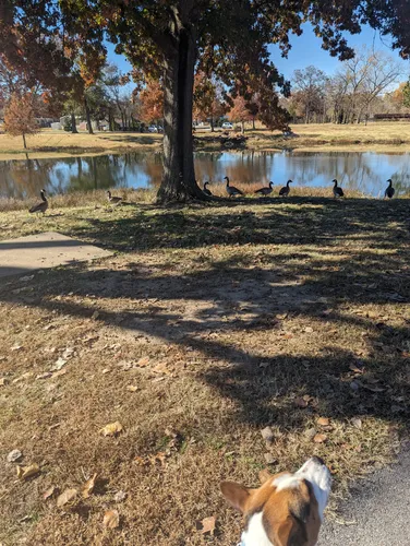 Best Hikes and Trails in Kelly Lane Park | AllTrails
