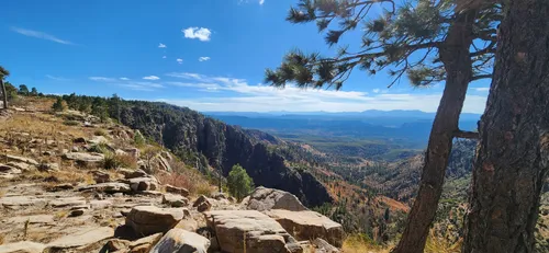 Best Hard Trails in Happy Jack | AllTrails