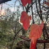 Dave Moore Nature Trail, California - 391 Reviews, Map | AllTrails