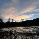 Dave Moore Nature Trail, California - 391 Reviews, Map | AllTrails