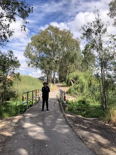 Best Hikes and Trails in Moyhu | AllTrails