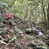 Cross Island Track and The Needle, Rarotonga, Cook Islands - 191 ...