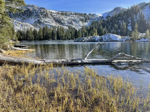 Best Moderate Trails in Carson-Iceberg Wilderness | AllTrails