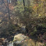 See Spring Trail, Arizona - 641 Reviews, Map | AllTrails