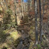 See Spring Trail, Arizona - 670 Reviews, Map | AllTrails