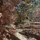 See Spring Trail, Arizona - 641 Reviews, Map | AllTrails