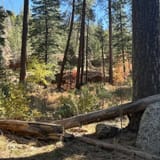 See Spring Trail, Arizona - 641 Reviews, Map | AllTrails