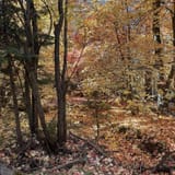 See Spring Trail, Arizona - 694 Reviews, Map | AllTrails