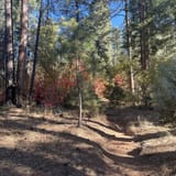 See Spring Trail, Arizona - 694 Reviews, Map | AllTrails