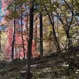 See Spring Trail, Arizona - 641 Reviews, Map | AllTrails