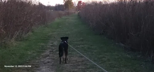 Best Hikes and Trails in Garvin Brown Nature Preserve | AllTrails