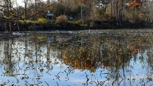 Best Hikes and Trails in Bannister Lake Conservation Area | AllTrails