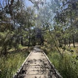 Gresswell Forest Loop, Victoria, Australia - 309 Reviews, Map | AllTrails