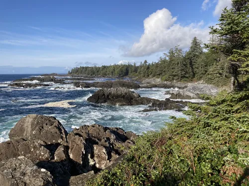 10 Best Trails and Hikes in Ucluelet | AllTrails