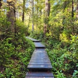 Cape Alava Trail, Washington - 556 Reviews, Map | AllTrails