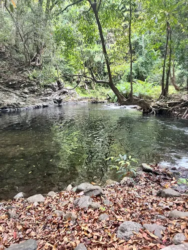 Best Hikes and Trails in Little Mulgrave National Park | AllTrails