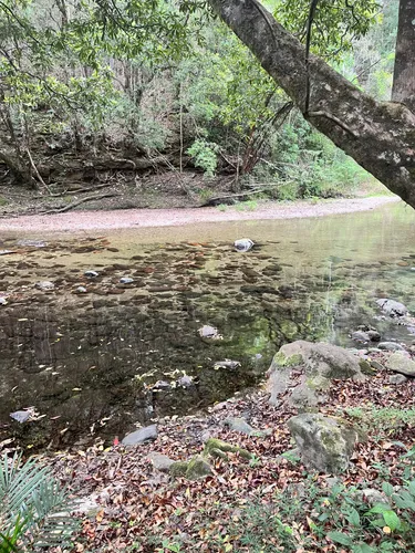 Best Hikes and Trails in Little Mulgrave National Park | AllTrails