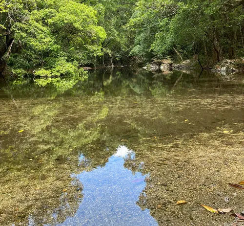 Best Hikes and Trails in Little Mulgrave National Park | AllTrails