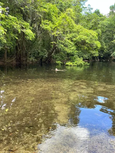 Best Hikes and Trails in Little Mulgrave National Park | AllTrails