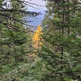 Mount Kit Carson Loop Road, Trail 140 and Trail 110 Loop, Washington ...