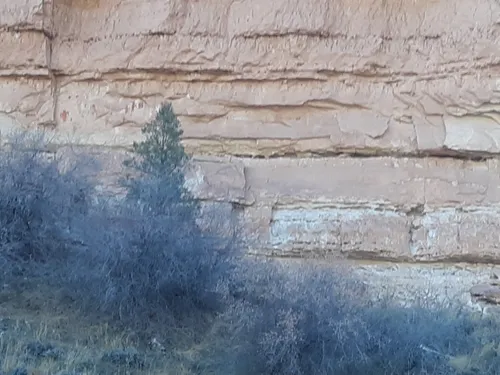 Best Historic Site Trails in Jacob Lake | AllTrails